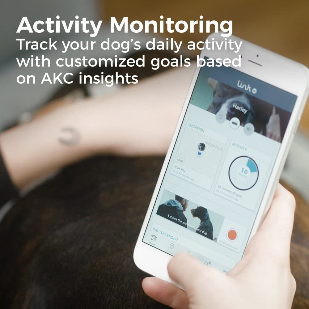Link AKC Smart Collar Review - Best Pet Trackers Link AKC Smart Collar ...