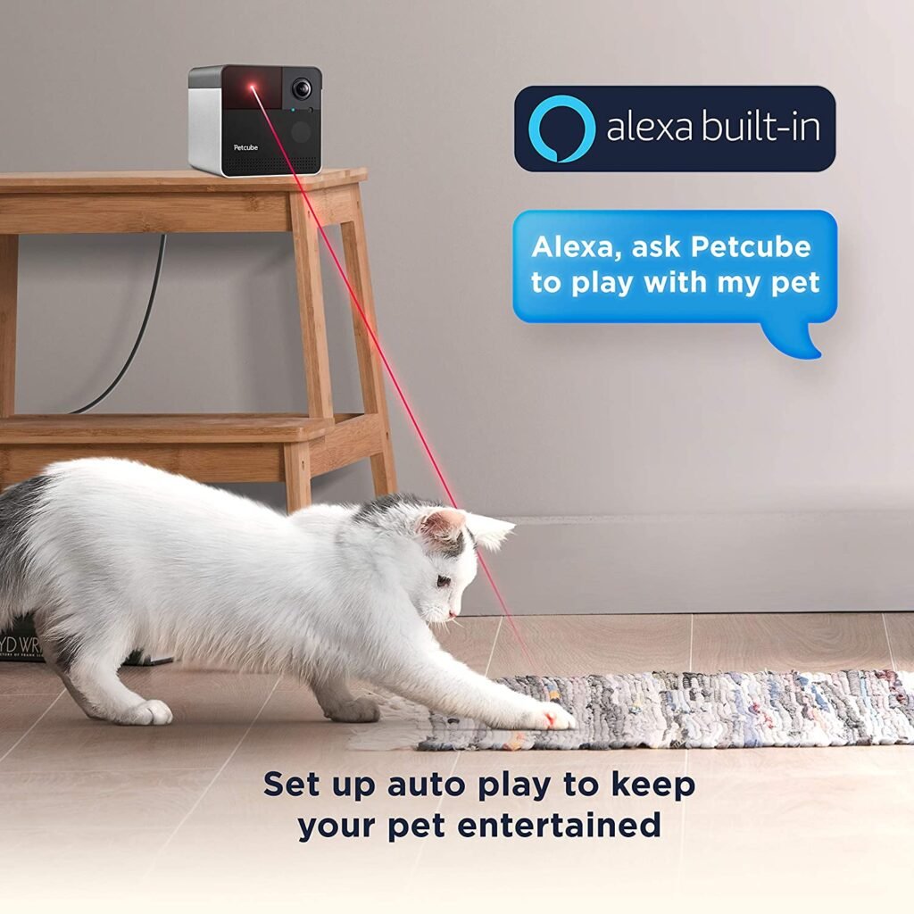 Petcube Review – Pros, Cons & Best Price With Free Shipping - Best Pet ...